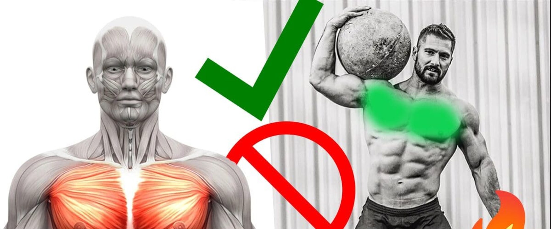 Chest and triceps workout plan for building and defining ripped muscles